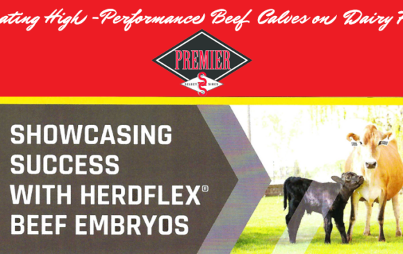 Premier Select Sires | Successful Cattle Reproductive Solutions