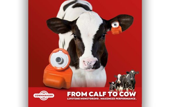 Premier Select Sires | Successful Cattle Reproductive Solutions